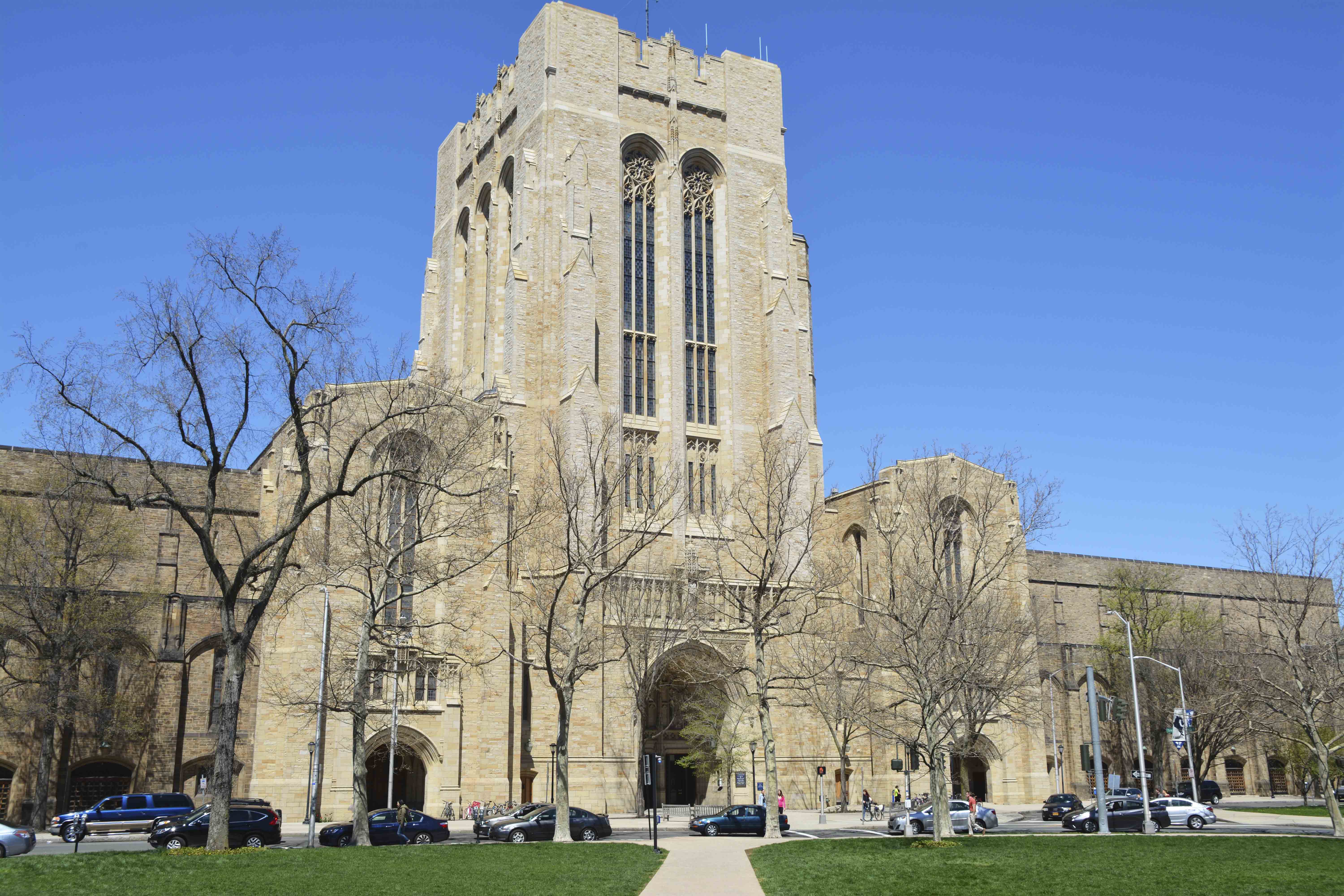 UP CLOSE: Defeating doubt — the path to the pros - Yale Daily News